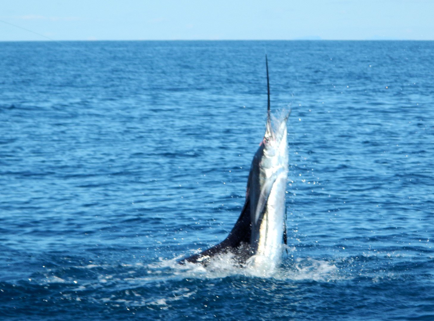 Tropical Fishing | CENTRE INTERNATIONAL DE PÊCHE SPORTIVE EXOTIQUE